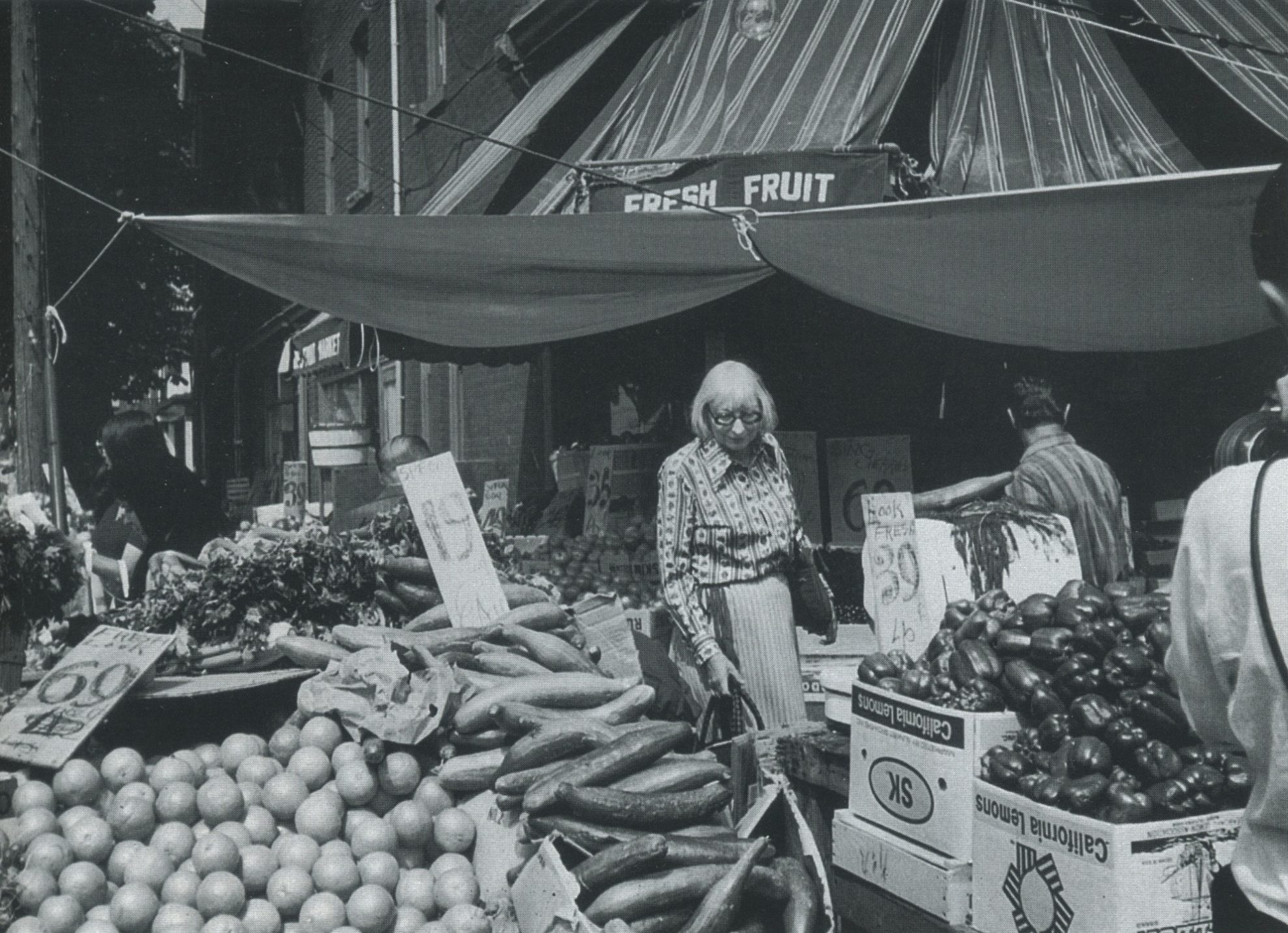 Who Was Jane Jacobs? - Her Life and Work - Jane Jacobs's First City